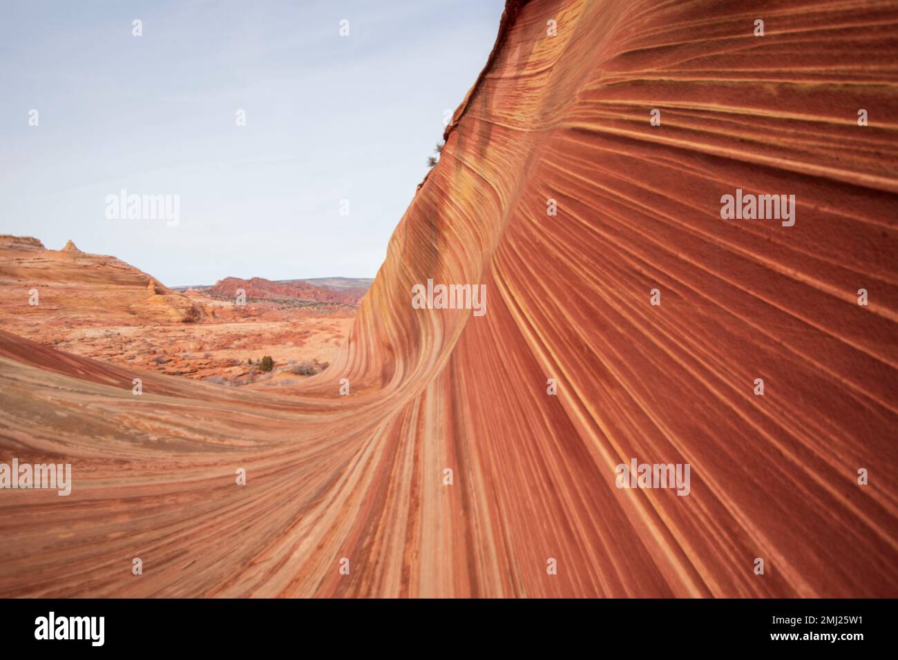 The Wave is a stunning geological formation in the Paria Canyon ...