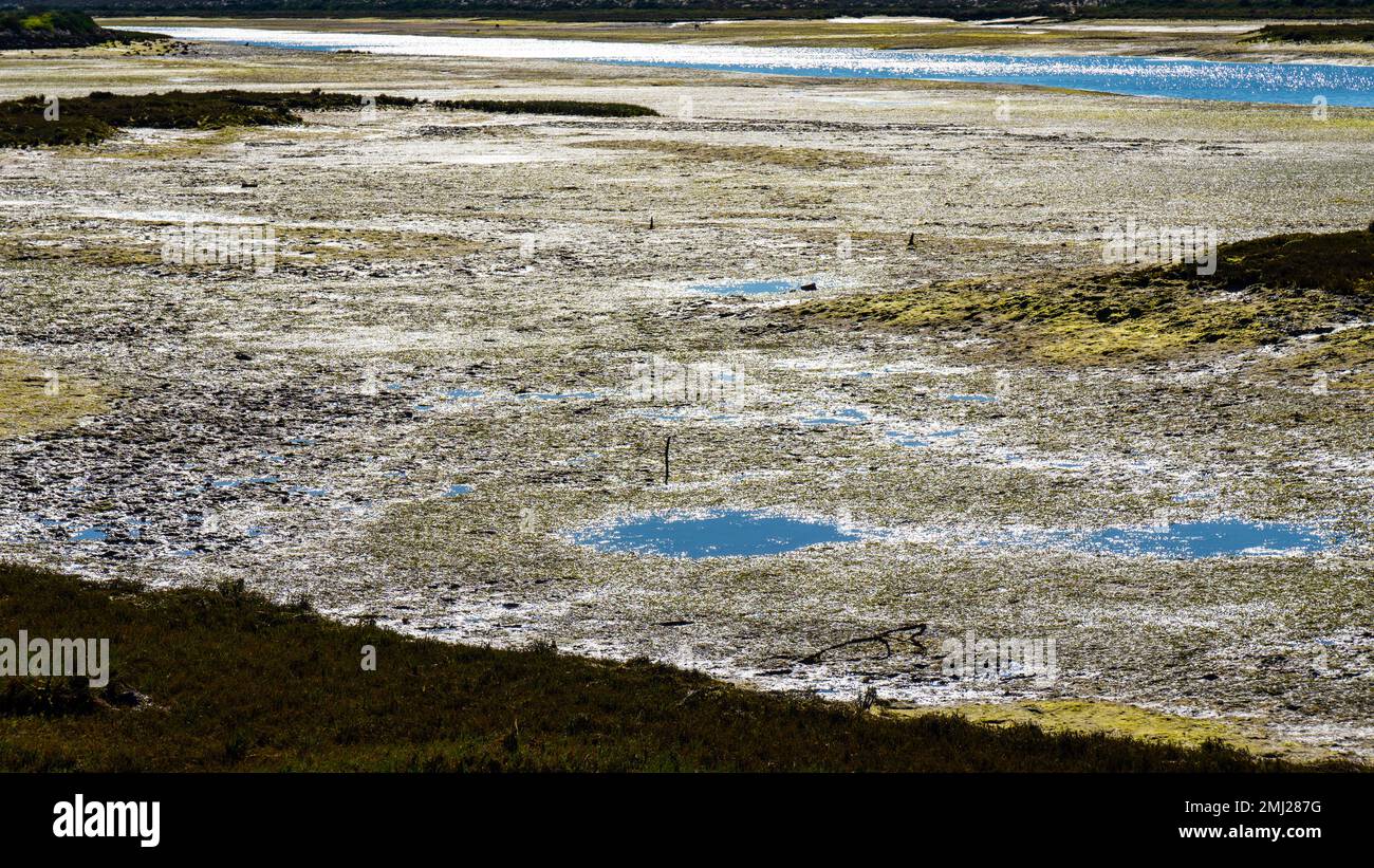 low tide at Ria Formosa, Parque Natural, Algarve Stock Photo - Alamy