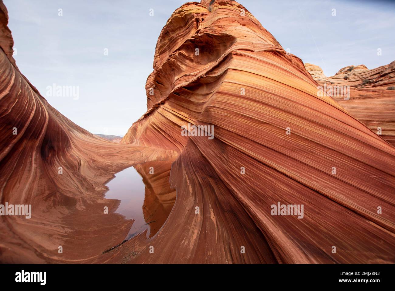 The Wave is a stunning geological formation in the Paria Canyon ...