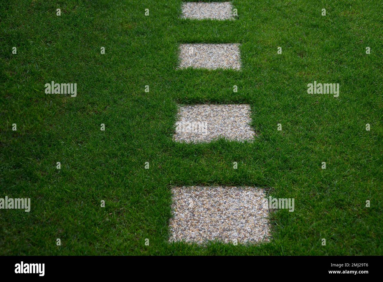 Green Grass in the garden with cement walkway Stock Photo - Alamy