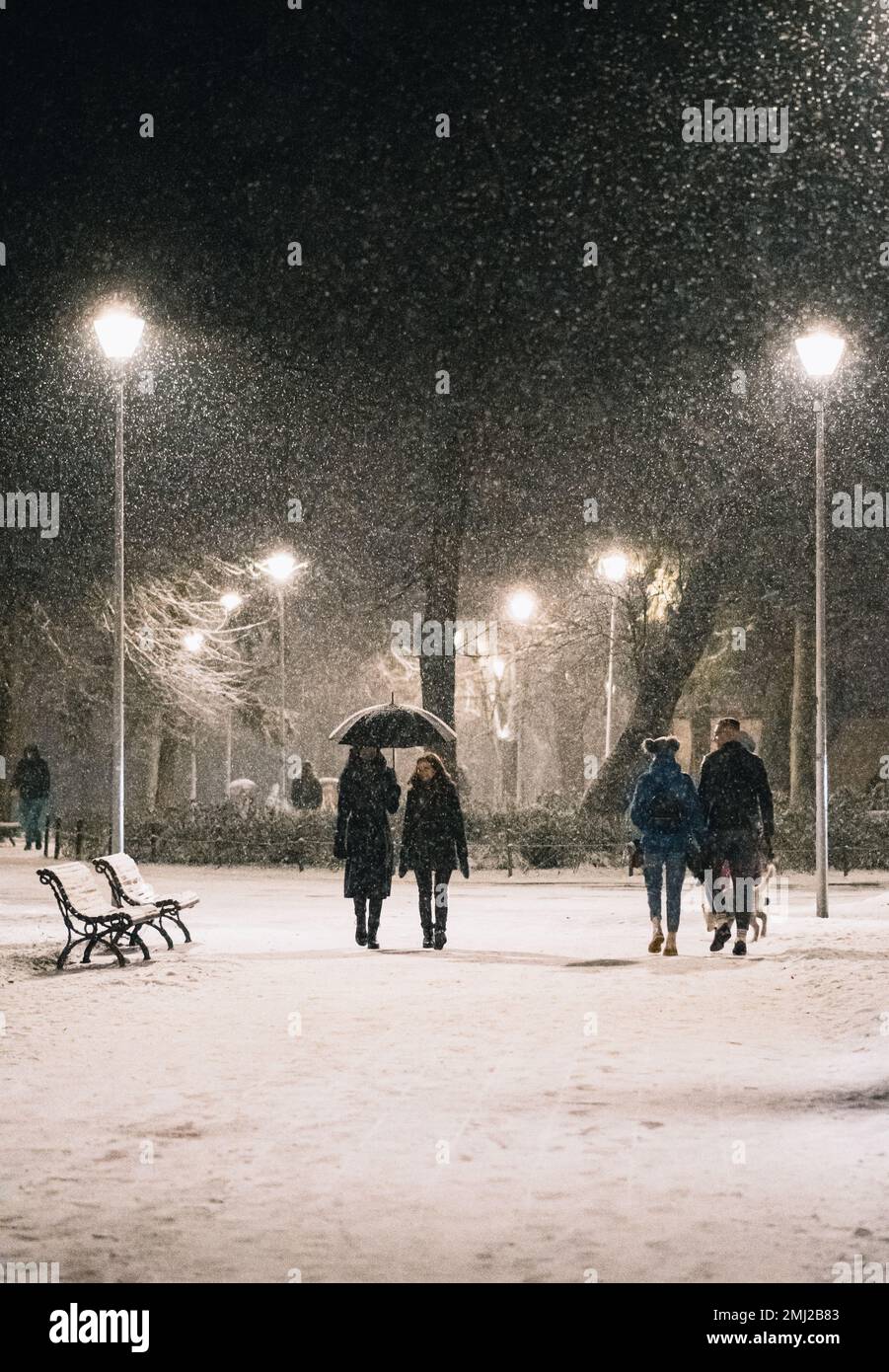 People Walking On Street At Night