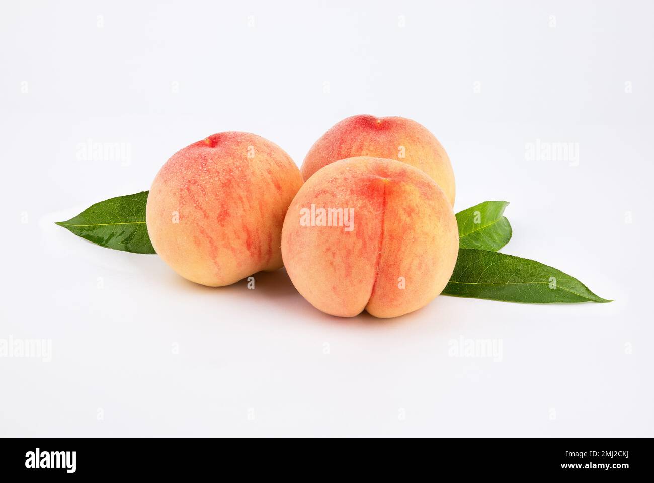 Juicy fresh peaches. Close-up of three fruits from the front Stock ...