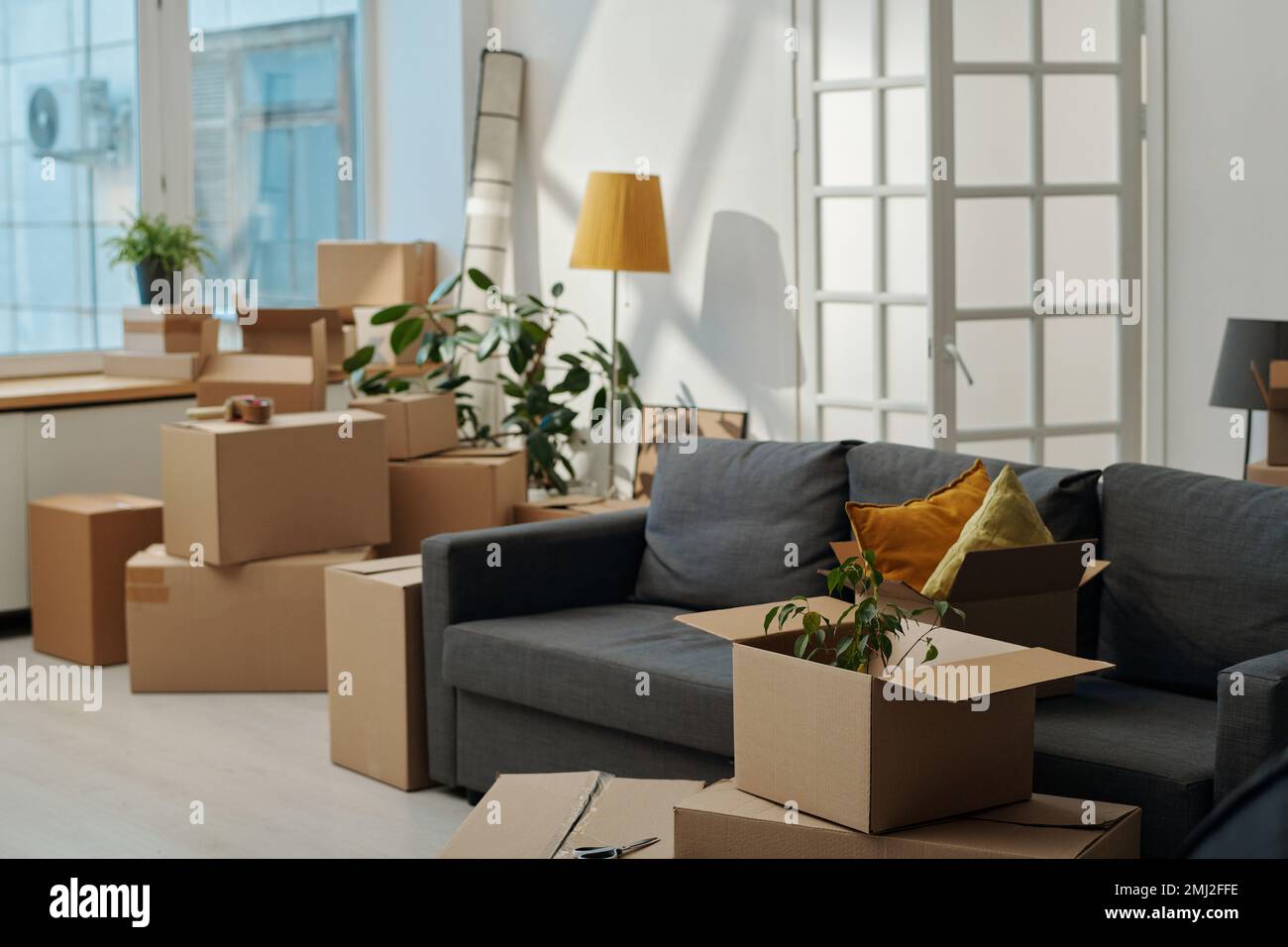 Horizontal image of new apartment with packed cardboard boxes for ...
