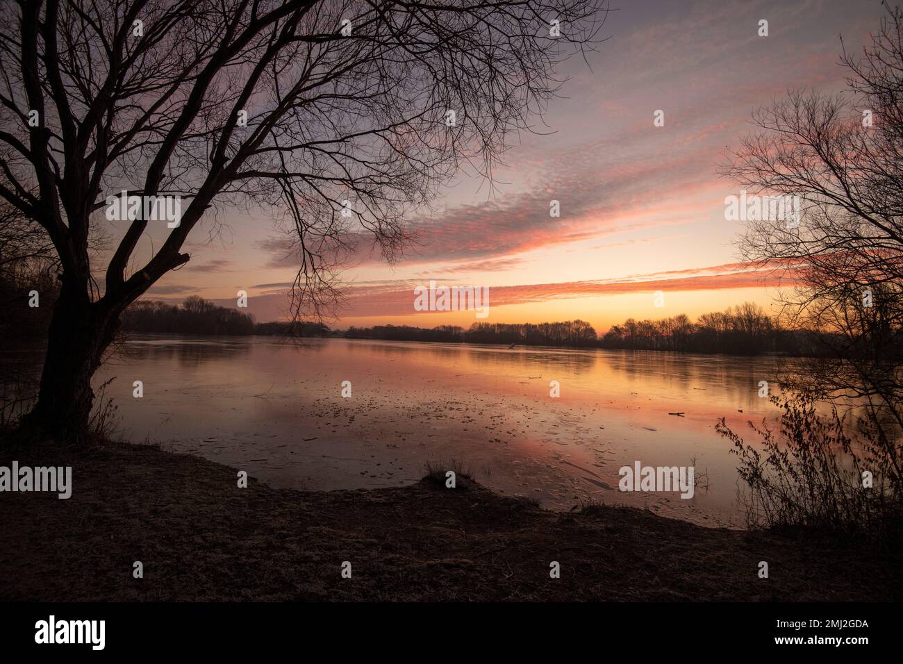 Sunrise reflections on a frozen lake at Colwick Park, Nottingham ...