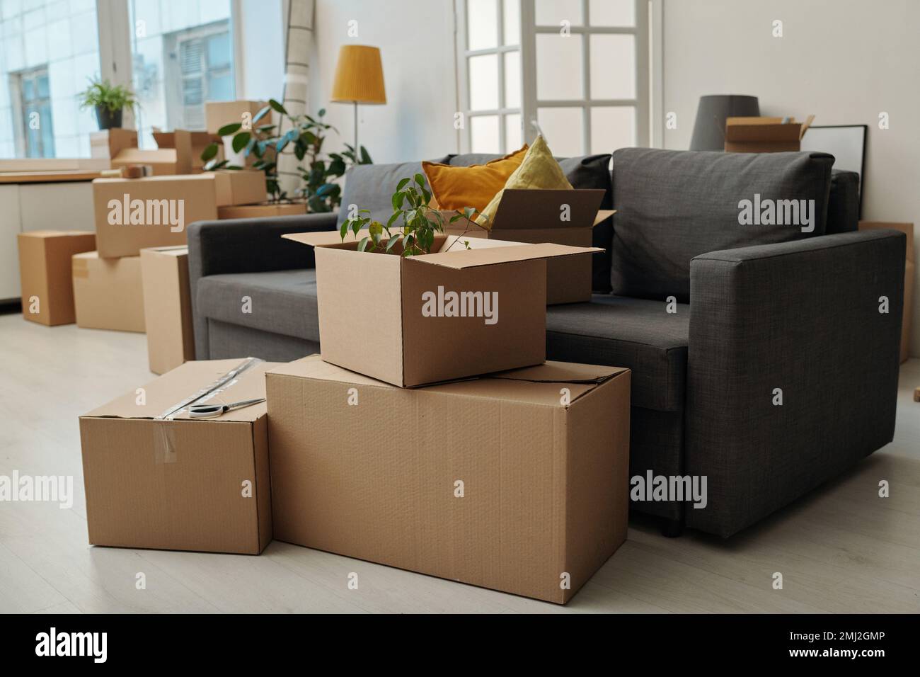 Horizontal image of modern living room with packed boxes for moving ...
