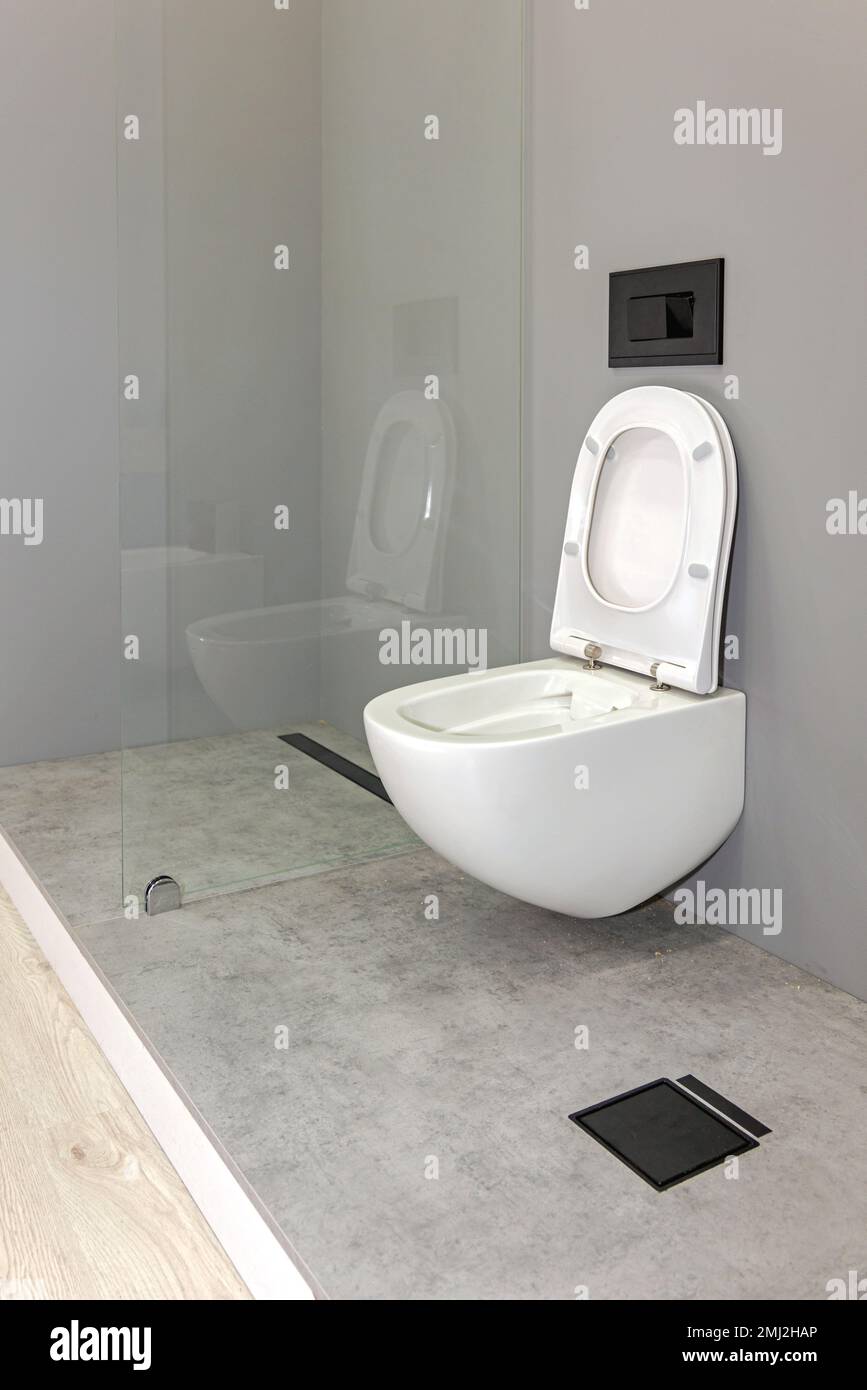 Wall Mounted Toilet Seat Bathroom at Brooke Bermingham blog