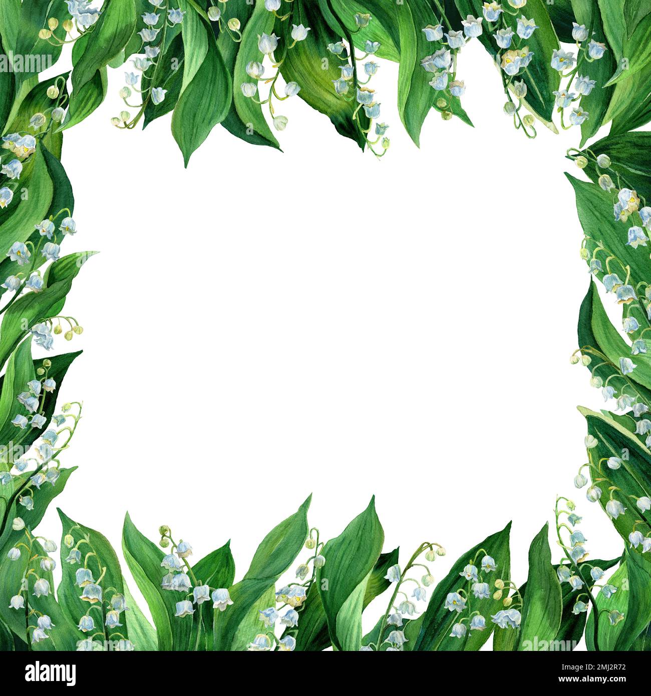 Floral frame lily flowers green hi-res stock photography and images - Alamy