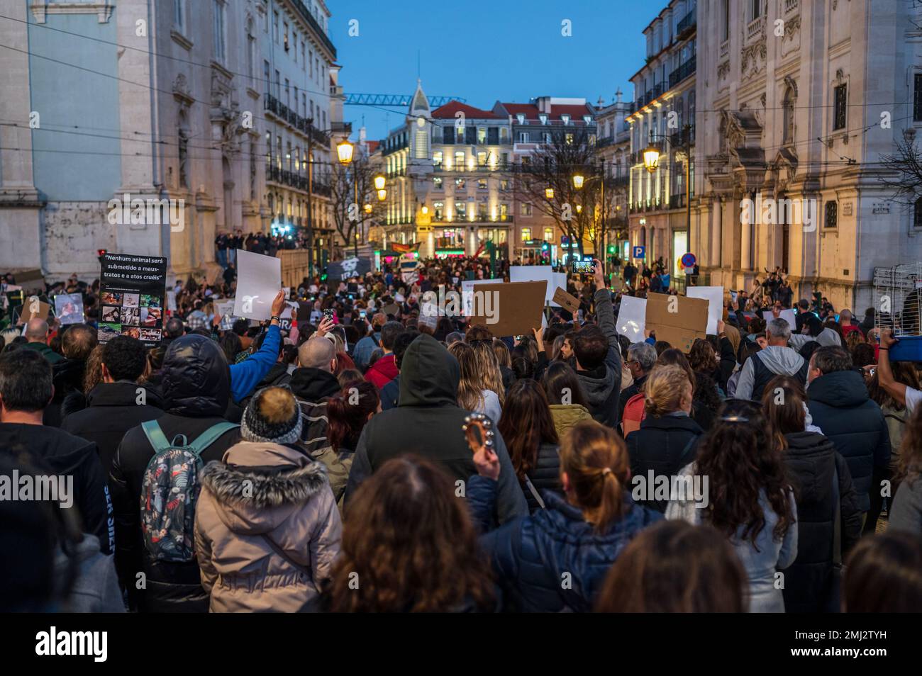 Hundreds of people protest in Lisbon for animal rights amid ...