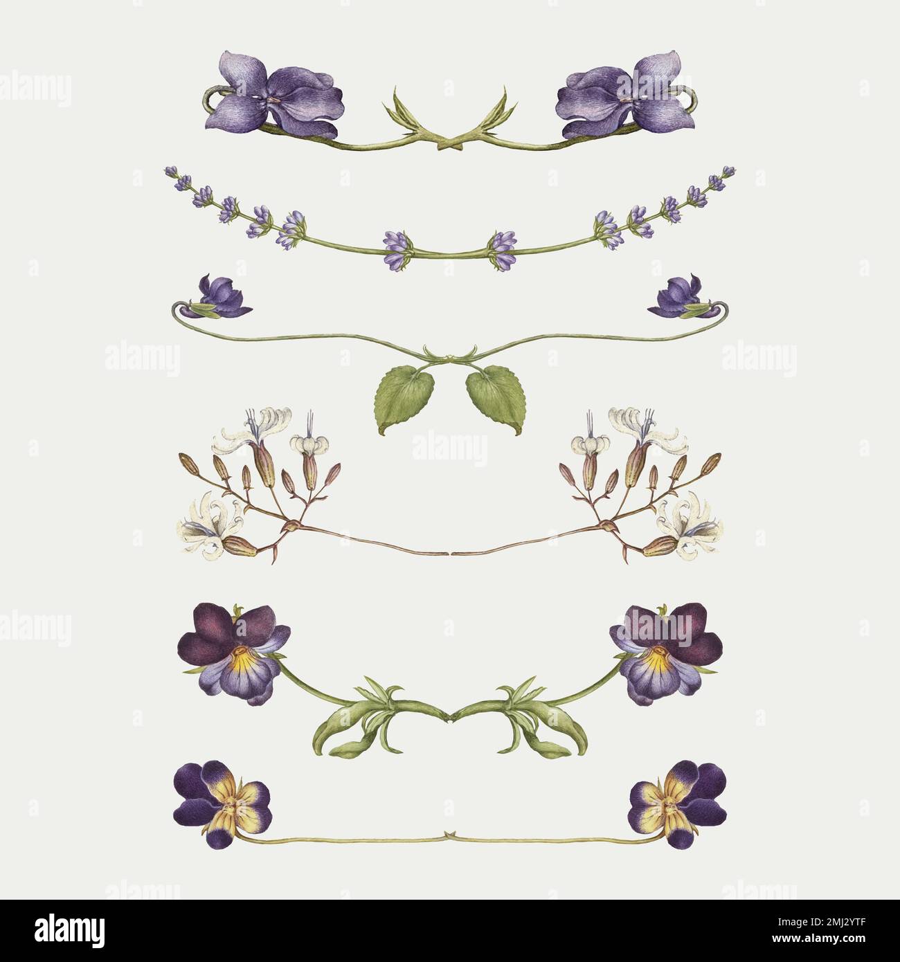 Spring Flower Divider