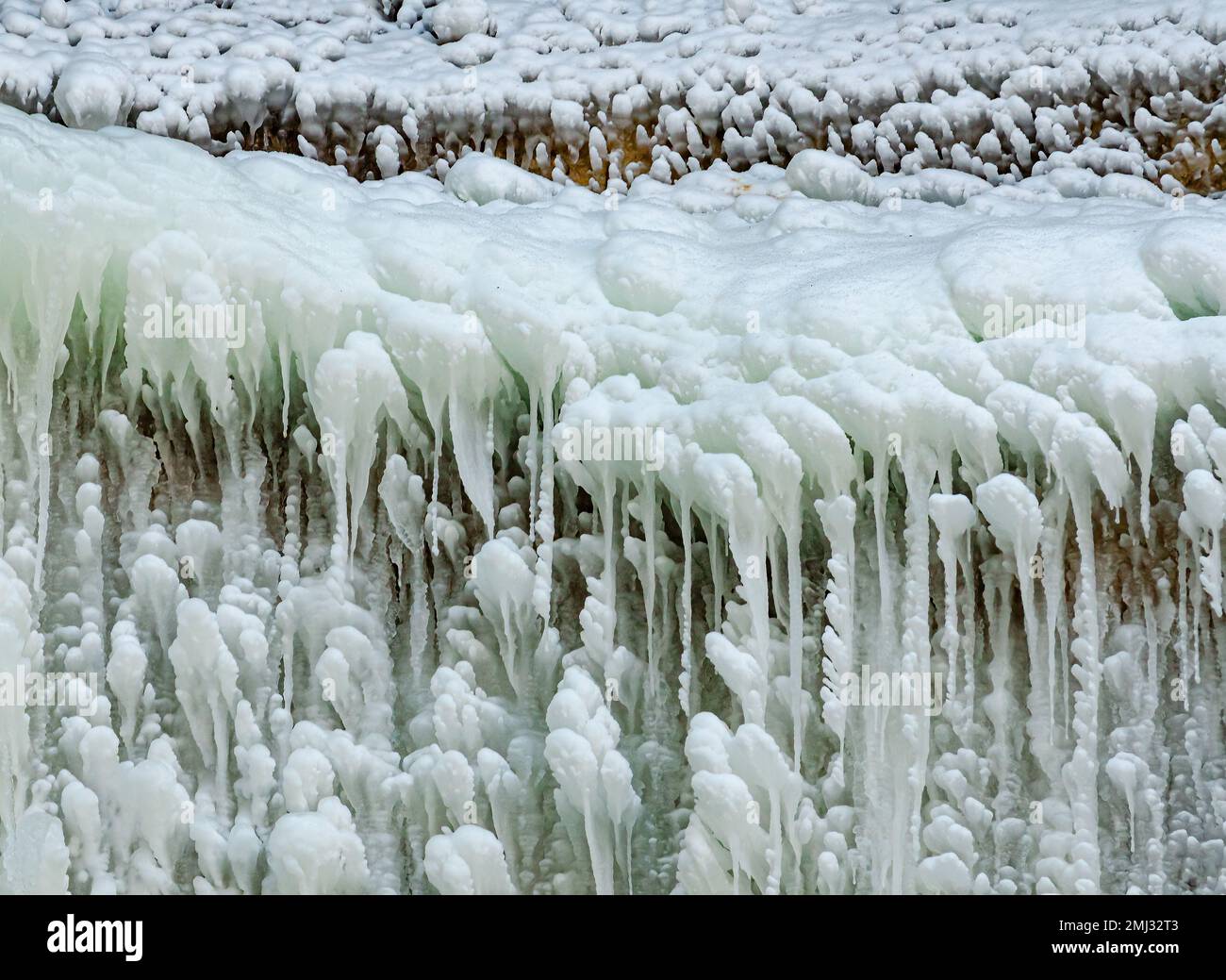 Patterns and ice deatil is highlighted in this close-uo on the back of ...