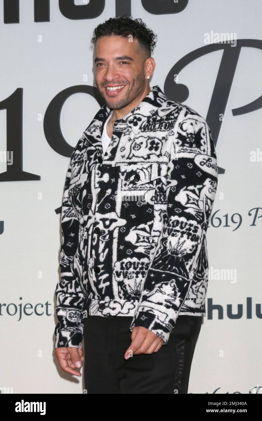LOS ANGELES - JAN 26: Jason Lee at The 1619 Project Premiere Screening ...
