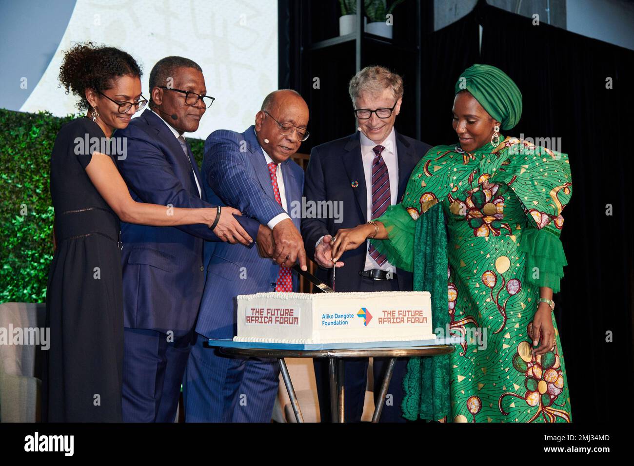 IMAGE DISTRIBUTED FOR THE AFRICA CENTER- Hadeel Ibrahim, Co-Chair, The ...