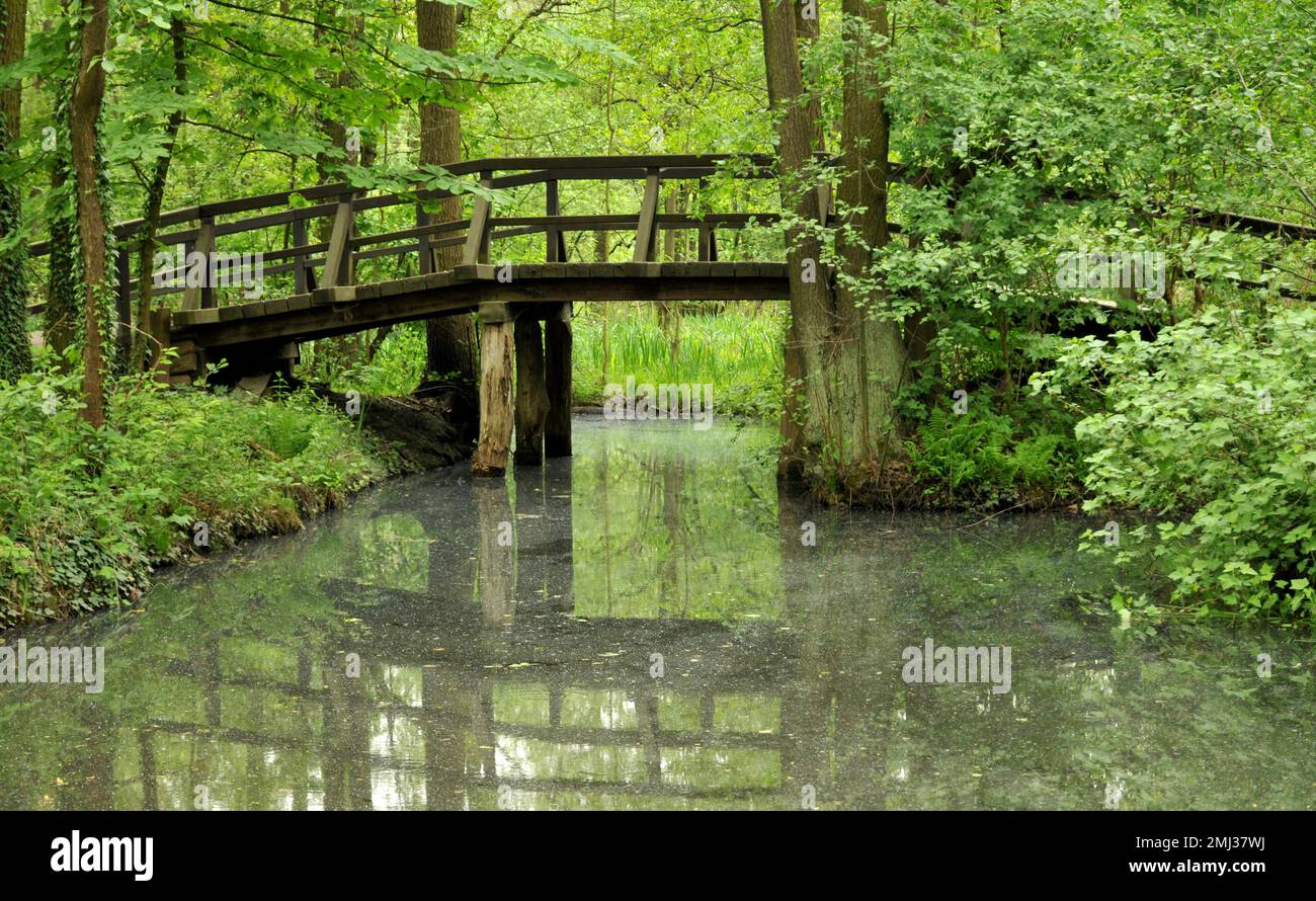Bridge in the Spreewald near Lehde, Brandenburg, Germany Stock Photo ...