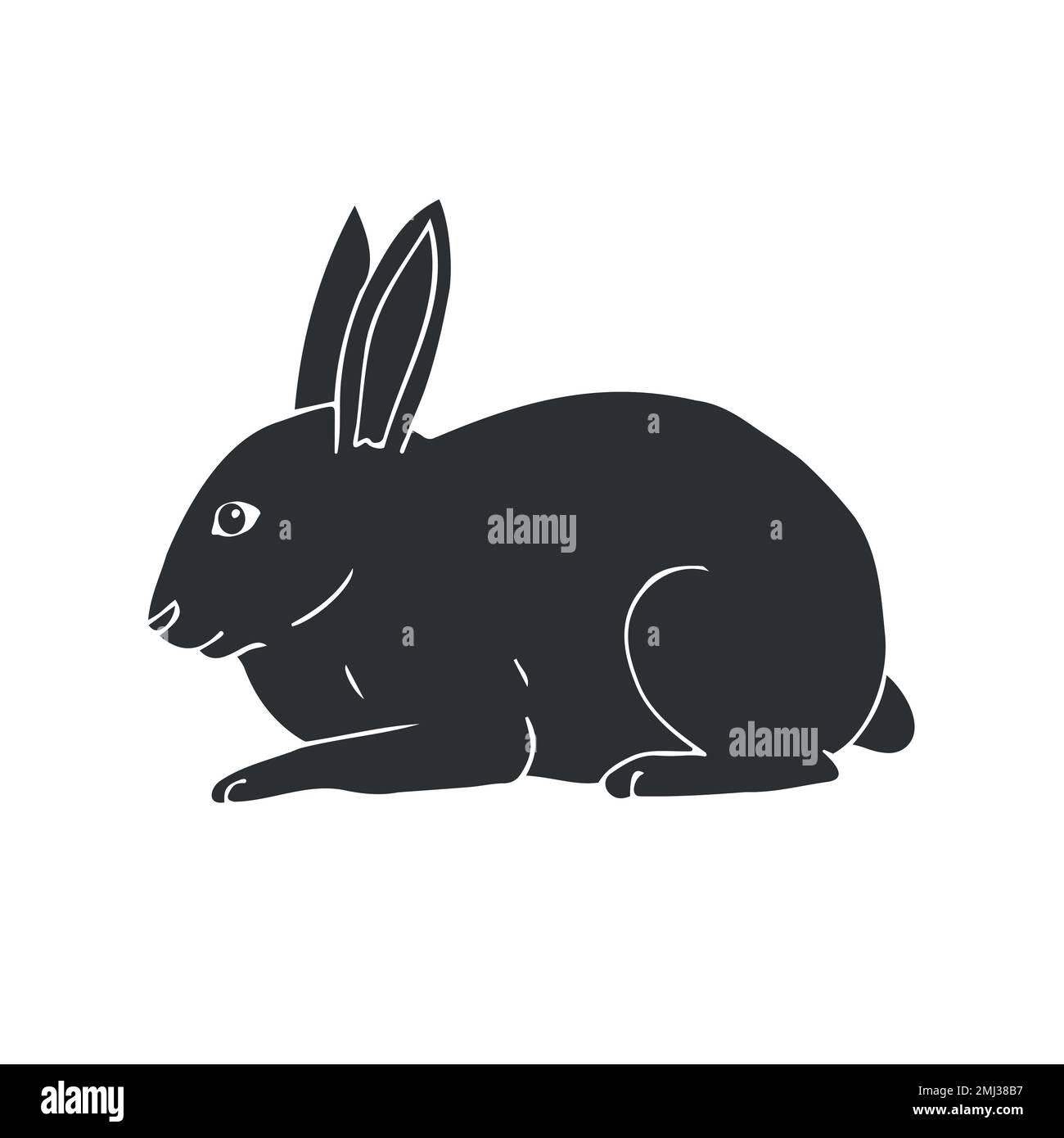 Vector hand drawn doodle sketch bunny rabbit isolated on white ...