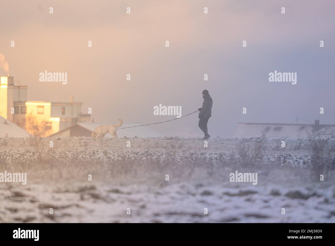 Man with dog in icy cold in the snow at sunrise, Calw, Black Forest ...