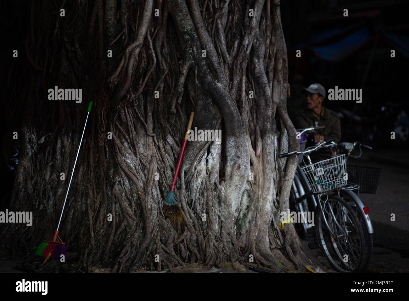 Vietnam photography hi-res stock photography and images - Alamy