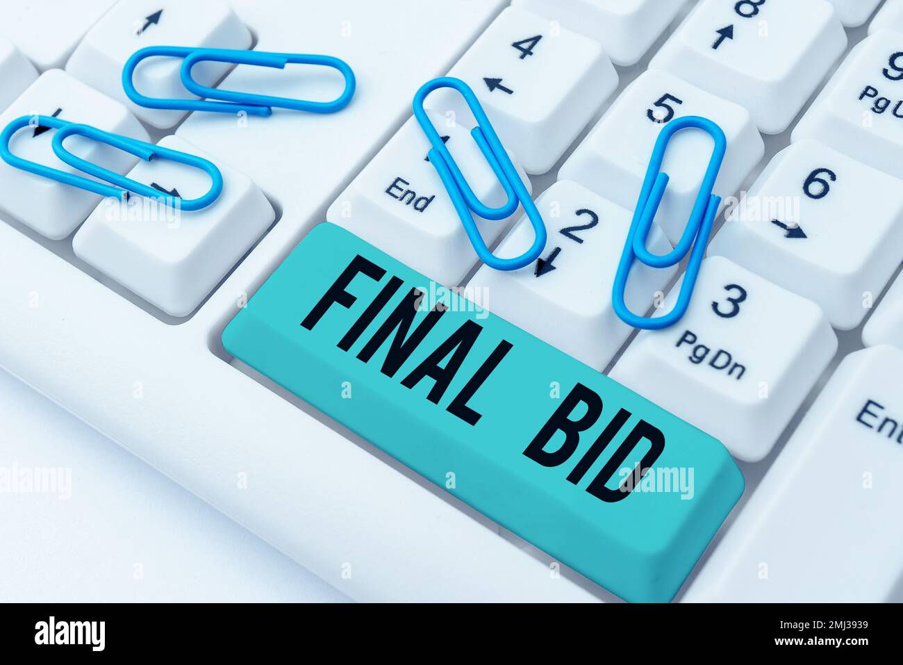 Conceptual display Final Bid, Business overview The decided cost of an ...