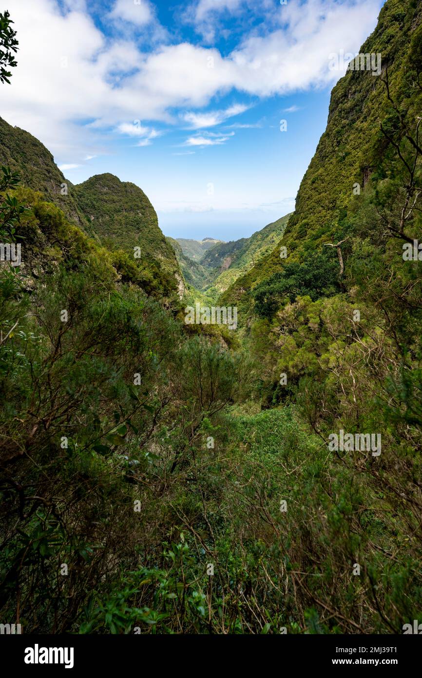 View of steep forested mountains, Levada do Caldeirao Verde, Parque ...