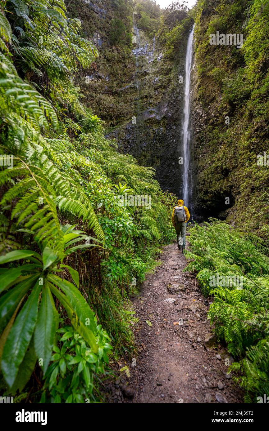 Hikers on the trail among ferns, waterfall at the back on a steep rock ...