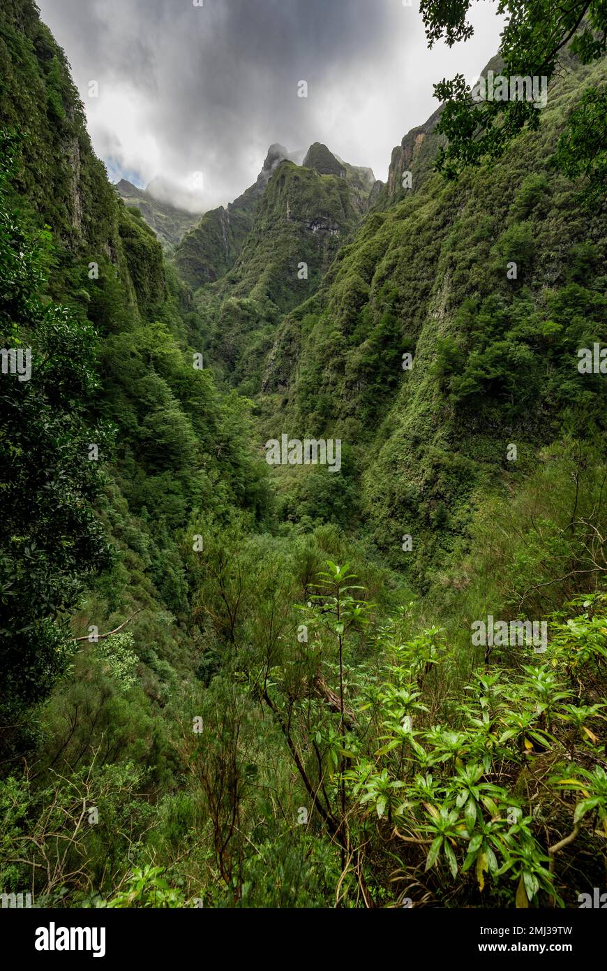 View of steep forested cloud-covered mountains, Levada do Caldeirao ...