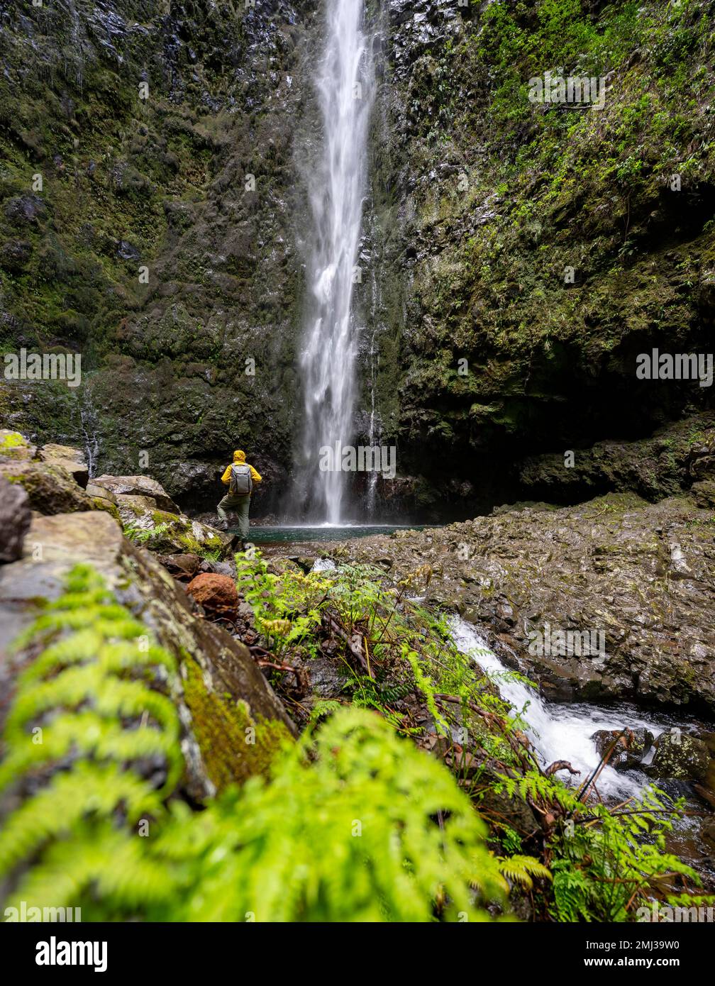 Hikers in front of a waterfall on a steep rock face, Levada do ...