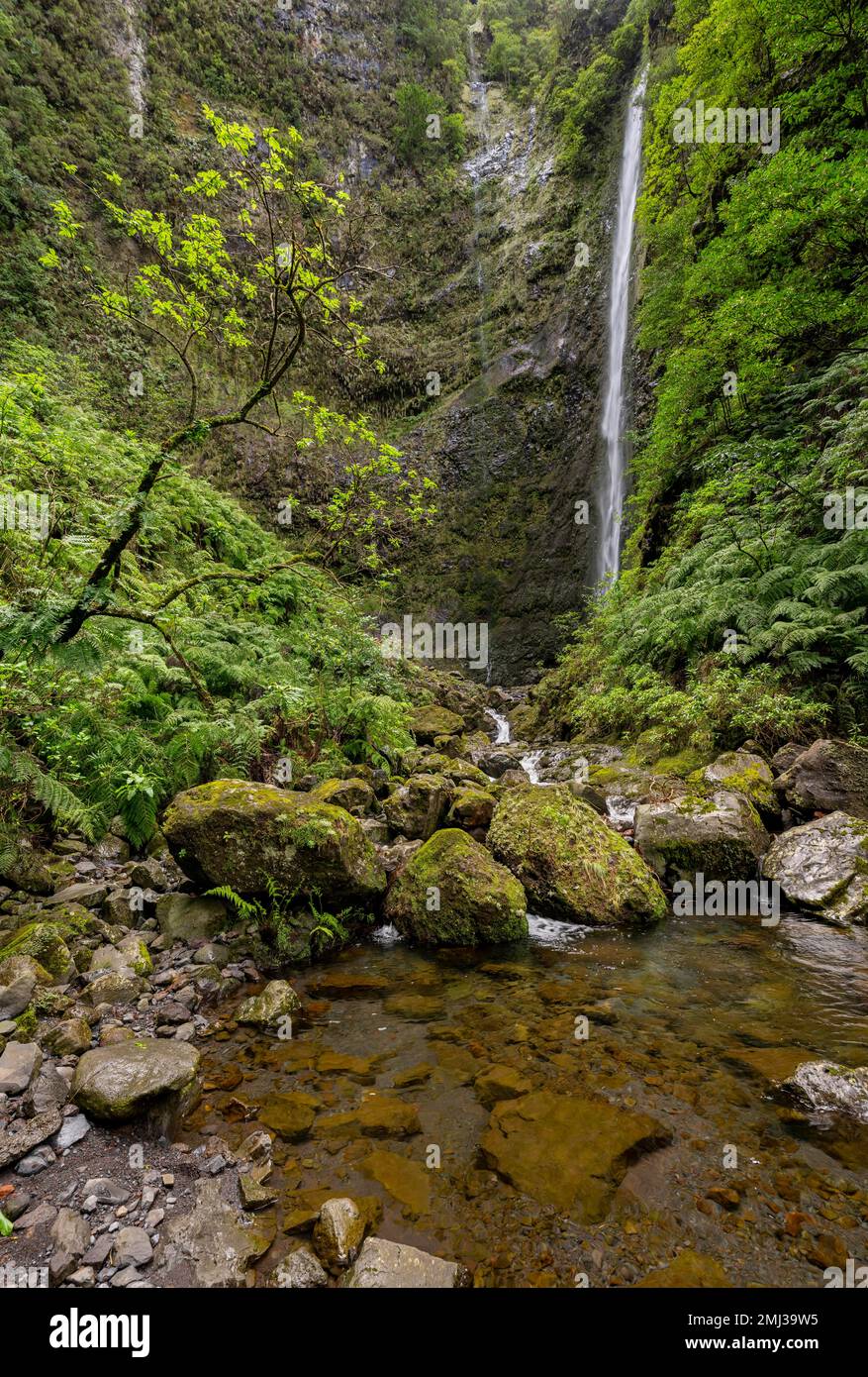 Waterfall on a steep rock face in the Caldeirao Verde, Levada do ...