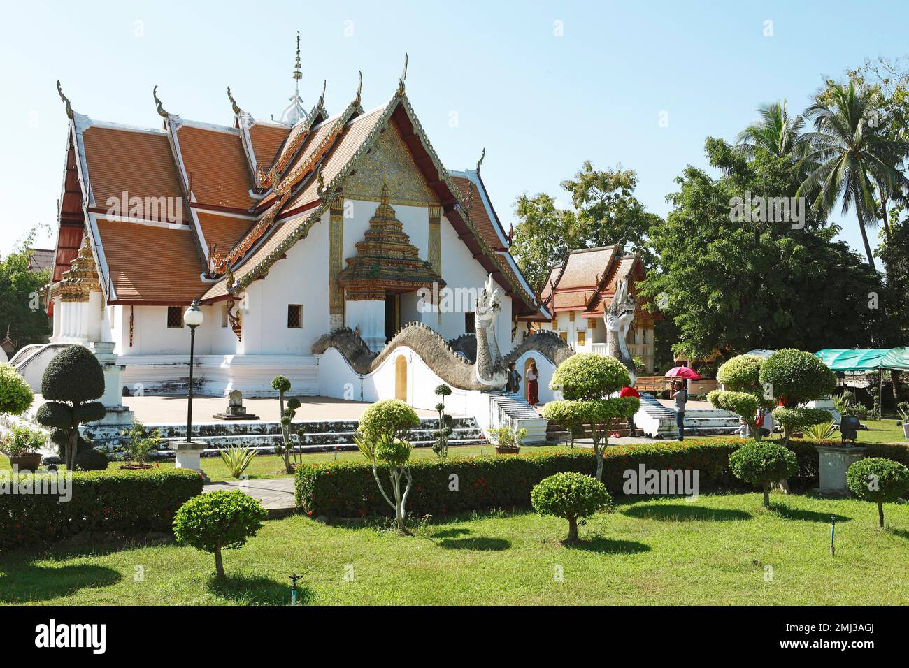 Pumin hi-res stock photography and images - Alamy