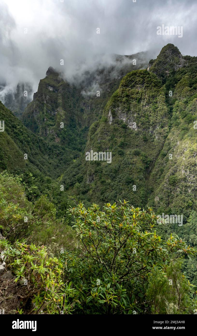 Parque florestal das queimadas madeira hi-res stock photography and ...