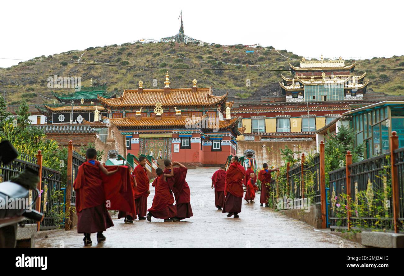 Monks at Tseway Monastery, Ganjia, Gansu Province, China Stock Photo ...