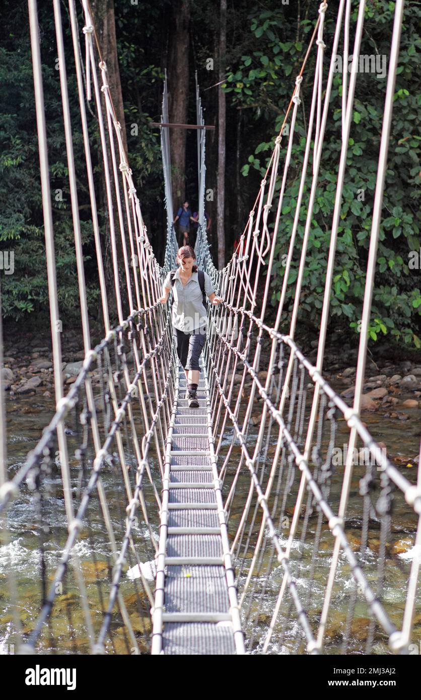 Woman crossing a suspension bridge, Gunung Mulu National Park, Miri ...