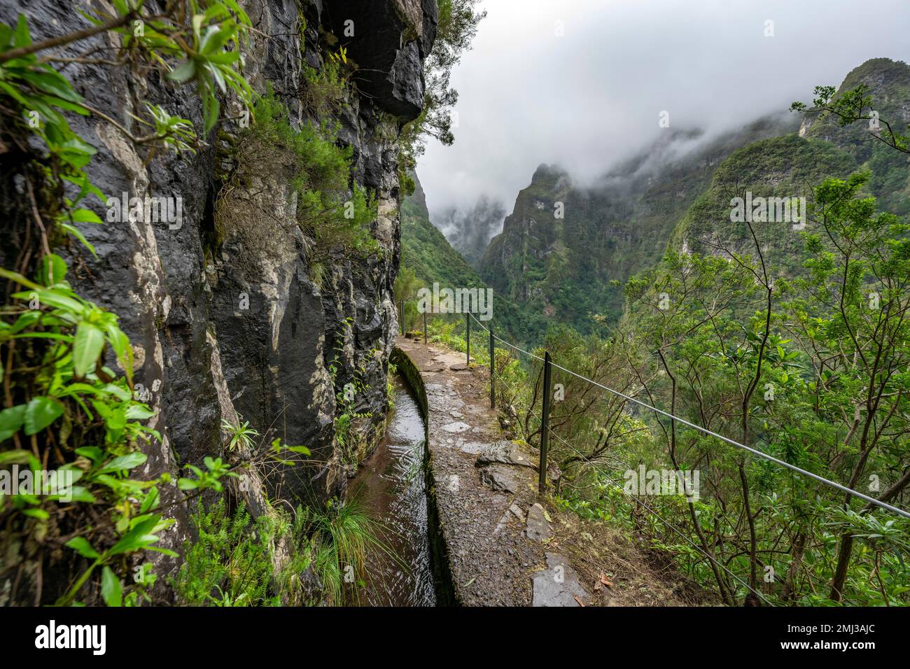Narrow hiking trail along a levada, view of forested mountains, Levada ...