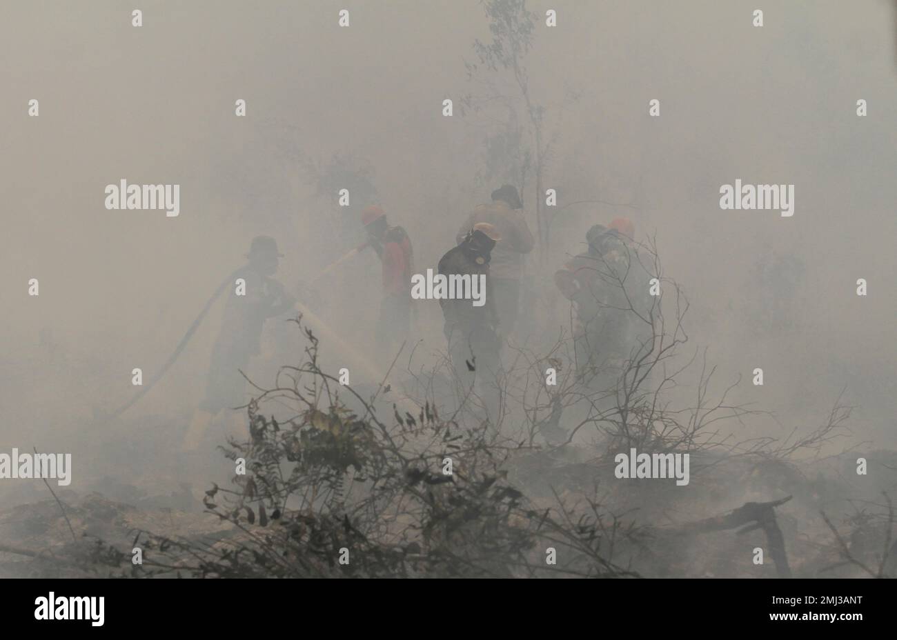 Firefighters spray water to extinguish a forest fire in Kampar, Riau ...