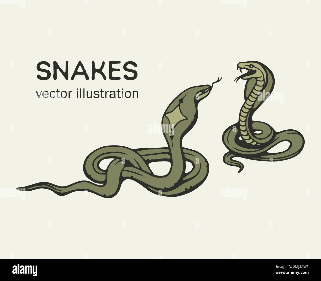 Snakes hand drawing Stock Vector Image & Art - Alamy