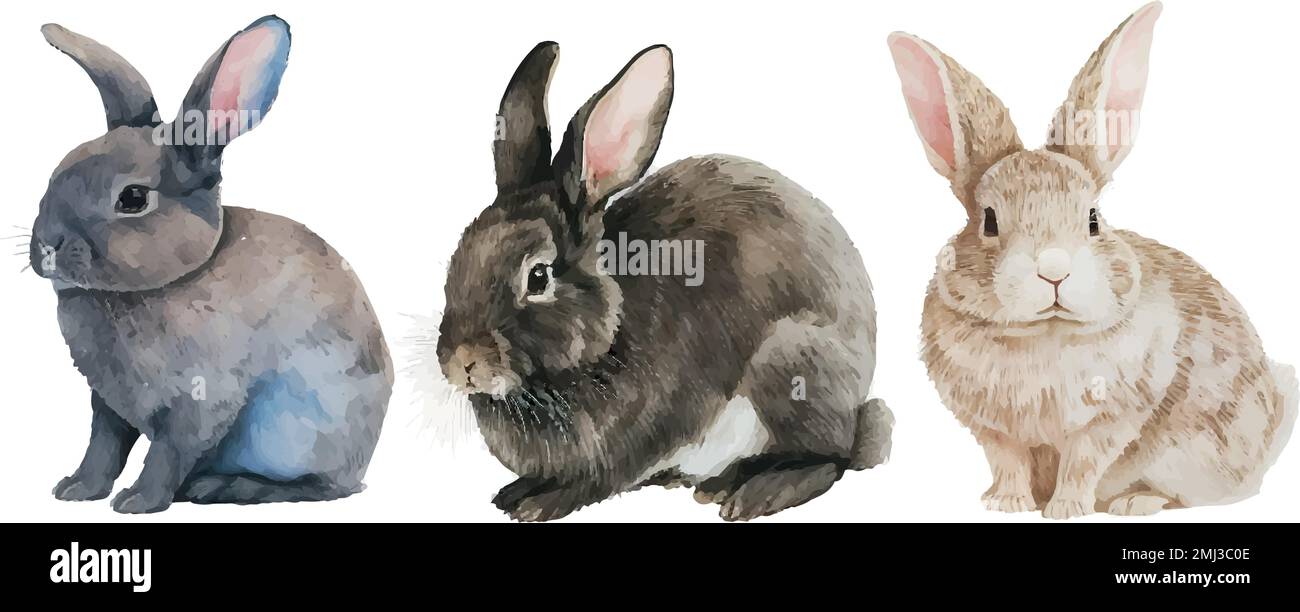 Watercolor illustration of a cute fluffy grey rabbit with pink ears in ...