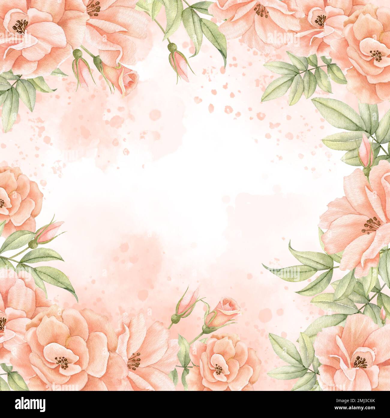 Peach Floral Wallpaper Border at Eric Jasper blog