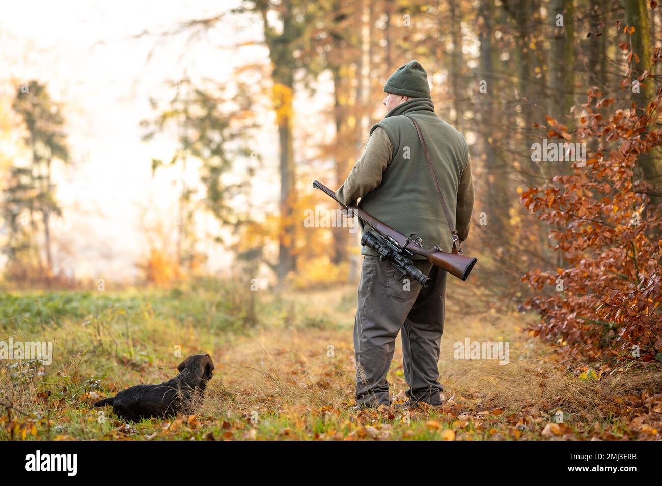 Hunter or ranger with a professional, nightvision hunting gun and ...