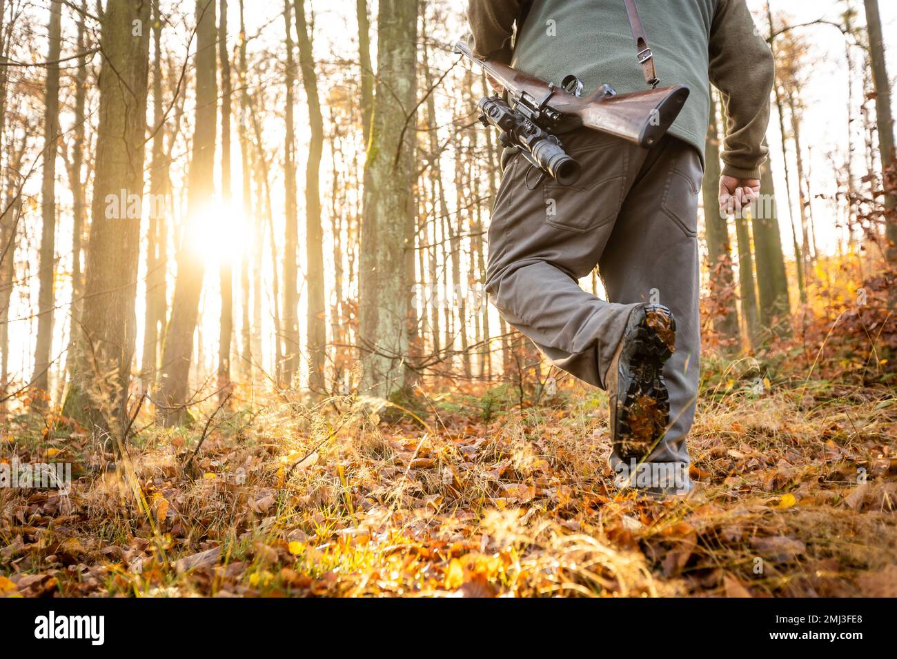 Hunter or ranger with a professional, nightvision hunting gun and ...