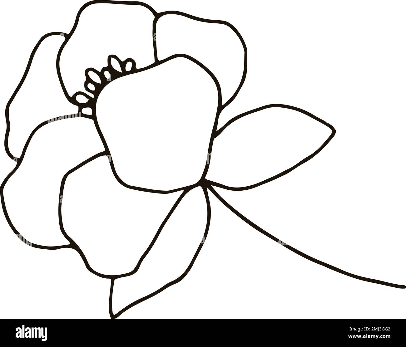 Flower close up bloom close up Stock Vector Images - Alamy
