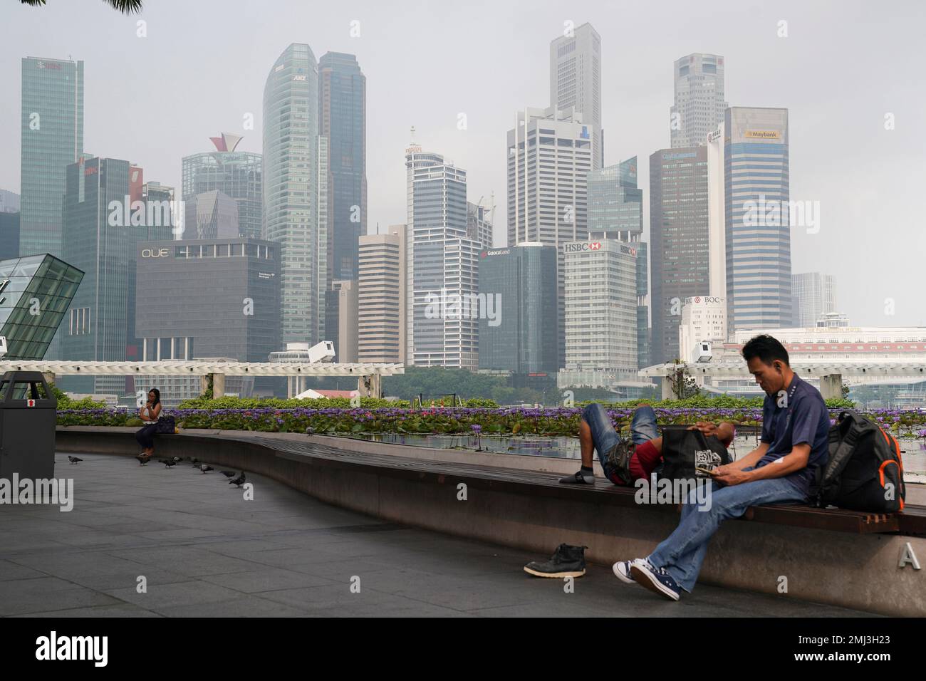 Singaporeans sit next to a flower pool as the central business district ...