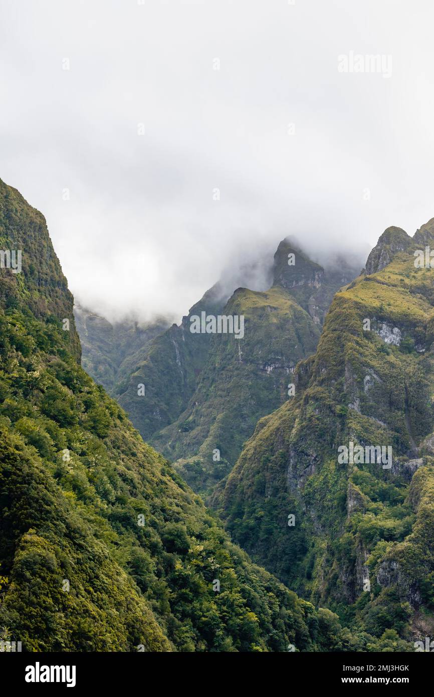 Inland landscape, mountain valley with fog and forest at Caldeirao ...