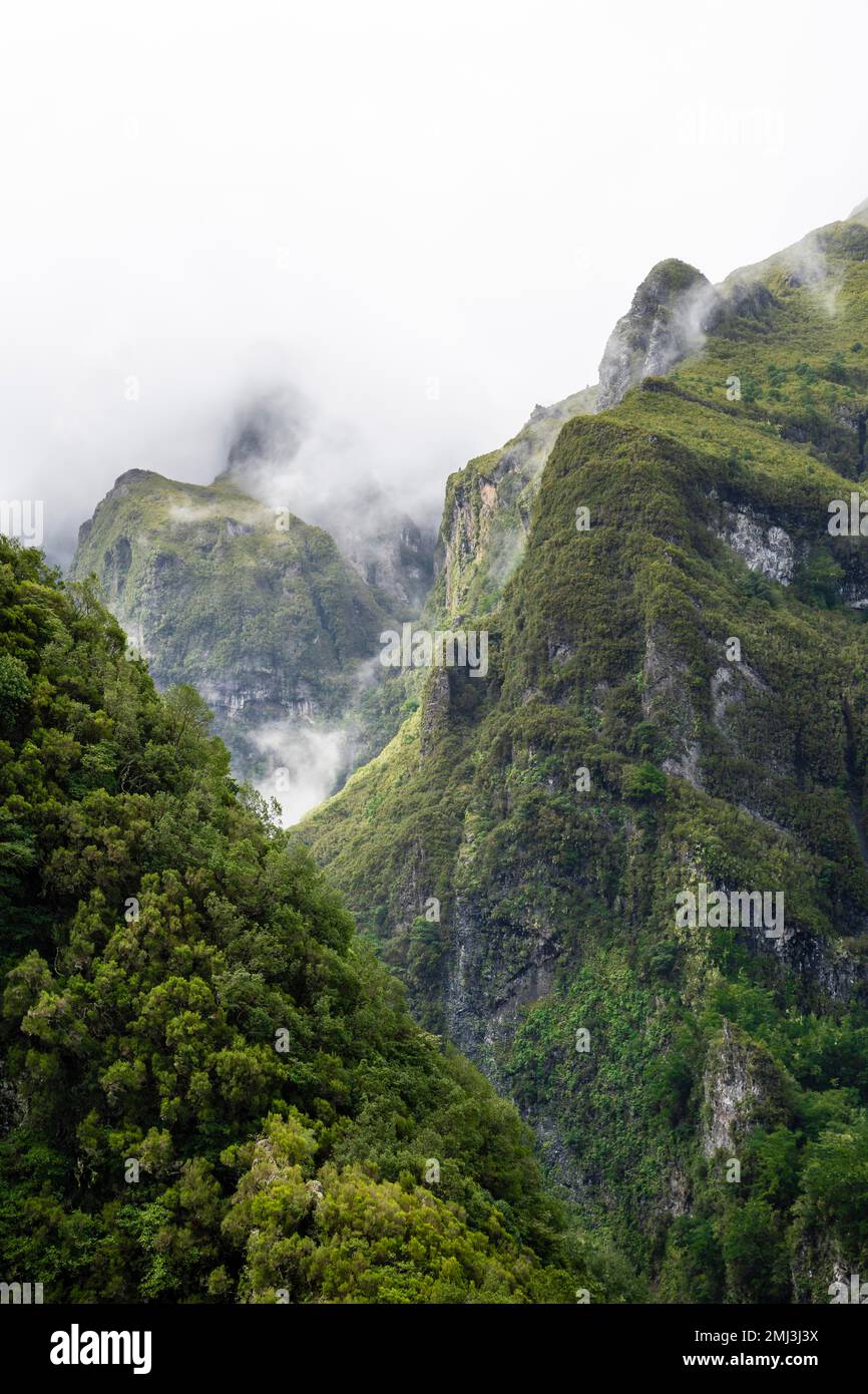 Inland landscape, mountain valley with fog and forest at Caldeirao ...