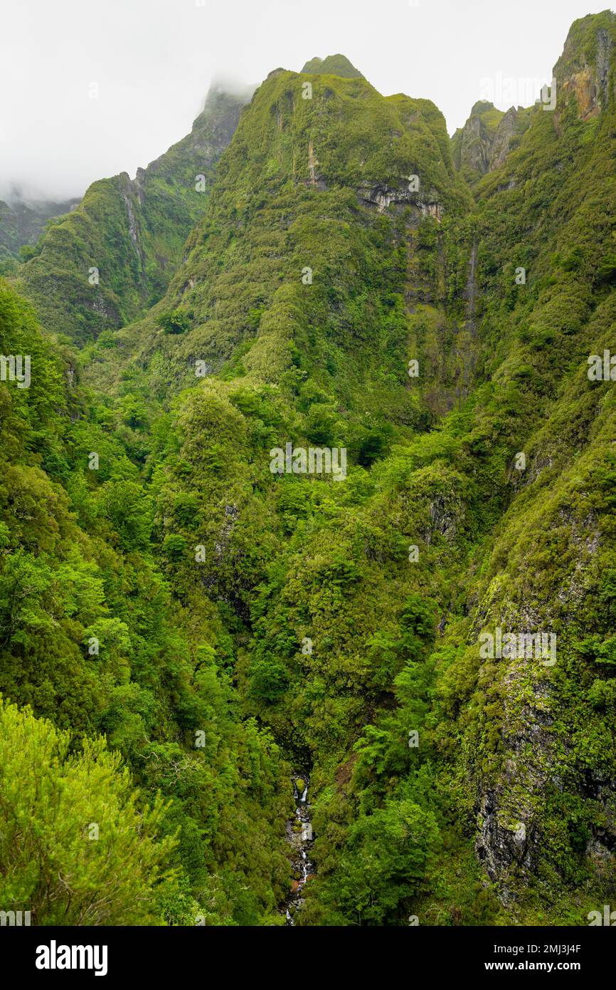 Inland landscape, mountain valley with fog and forest at Caldeirao ...