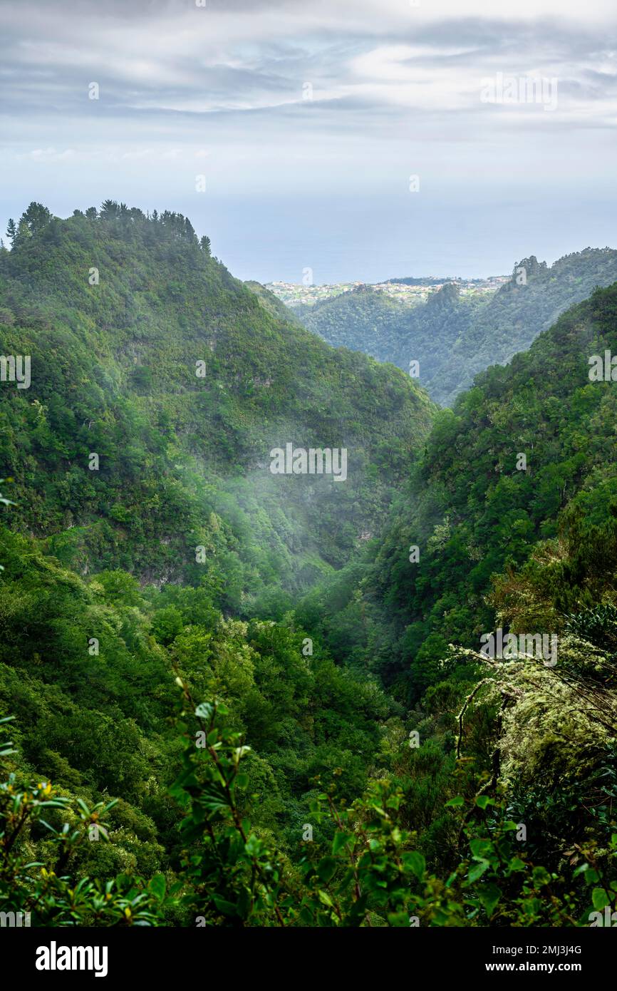 Inland landscape, mountain valley with fog and forest at Caldeirao ...