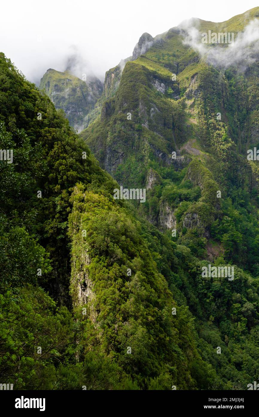 Inland landscape, mountain valley with fog and forest at Caldeirao ...