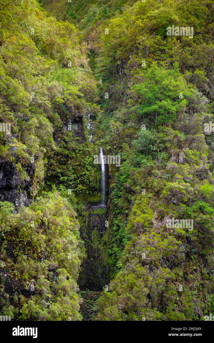 Forest water waterfall hi-res stock photography and images - Alamy