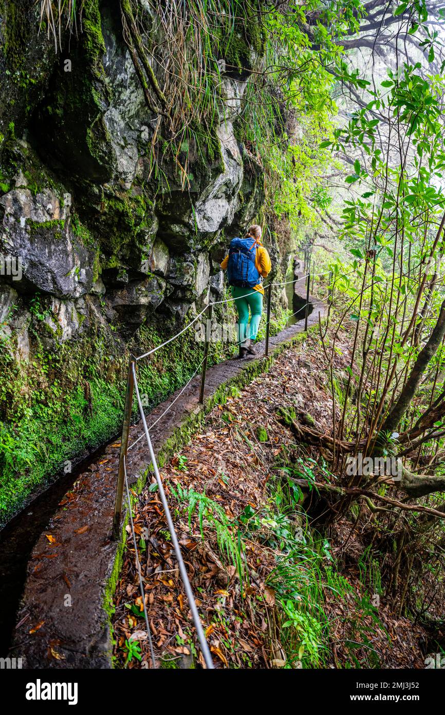 Hiker on a Levada, PR9 Levada do Caldeirao Verde, Madeira, Portugal ...