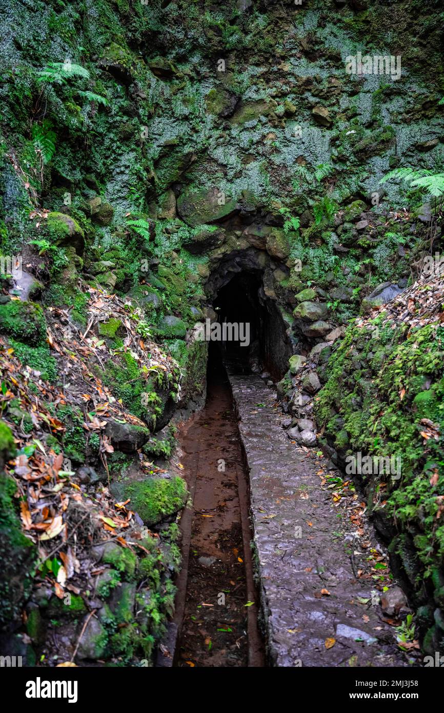 Levada Tunnel, PR9 Levada do Caldeirao Verde, Madeira, Portugal Stock ...