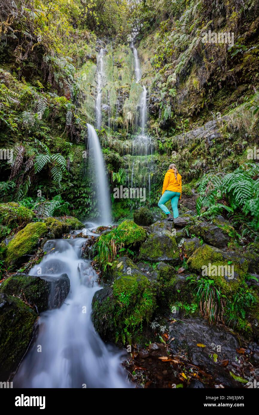 Hiker in front of waterfall, fern on cliff in jungle, PR9 Levada do ...