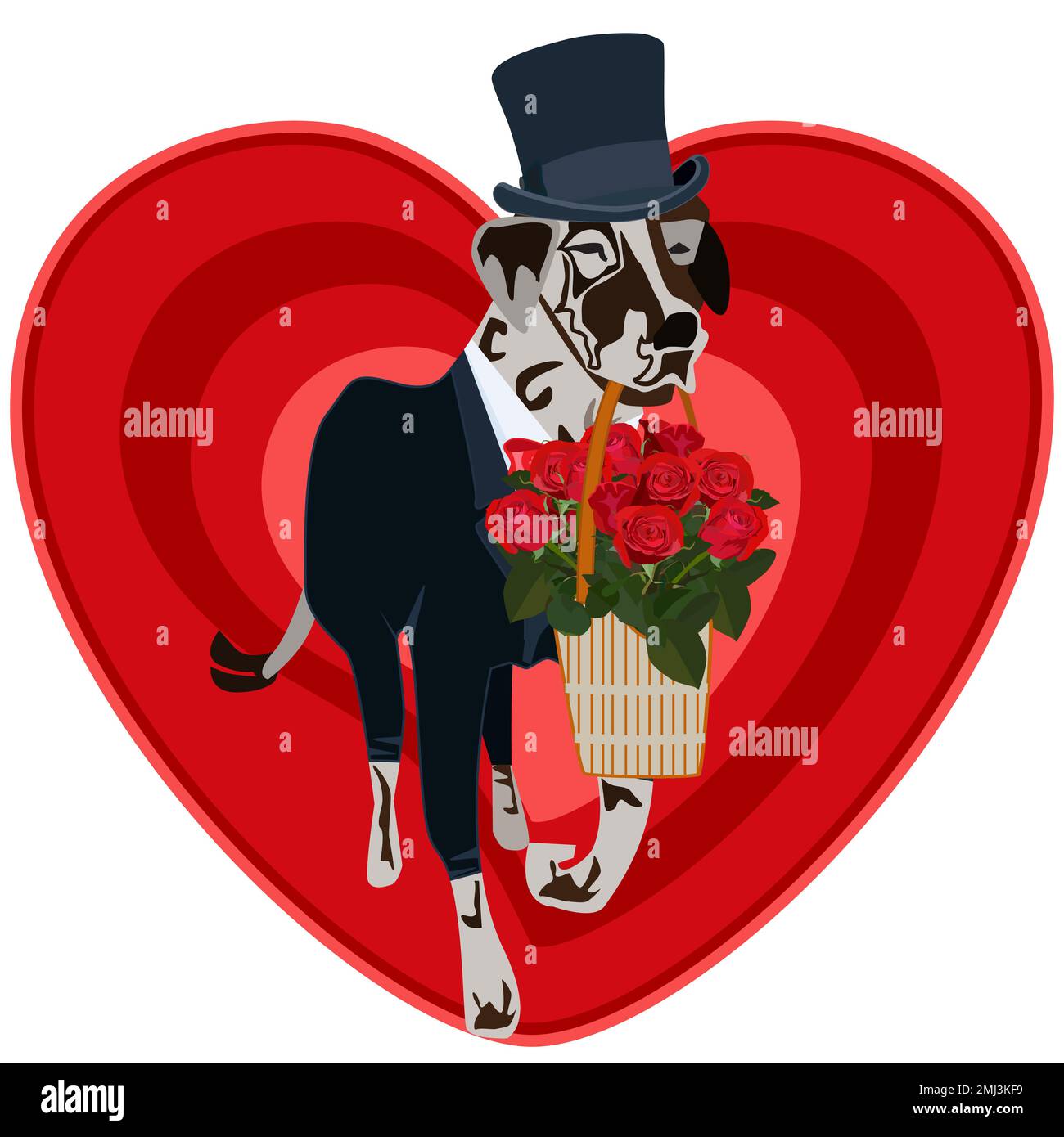 Cute dalmatian pet dog with basket of roses for Valentine Day card ...