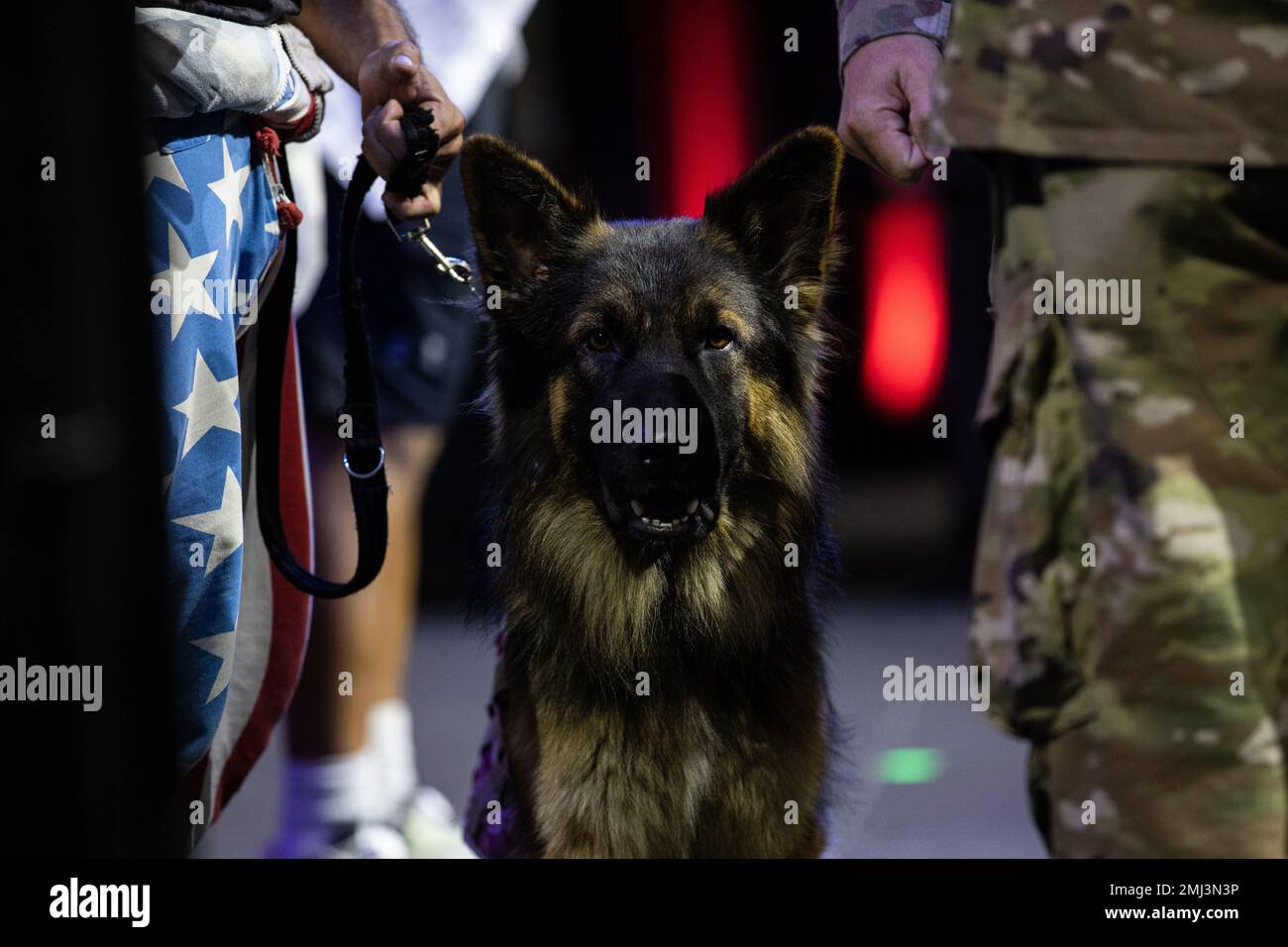 Retired U.S. Army Staff Sgt. Michael Murphy and his service dog ...